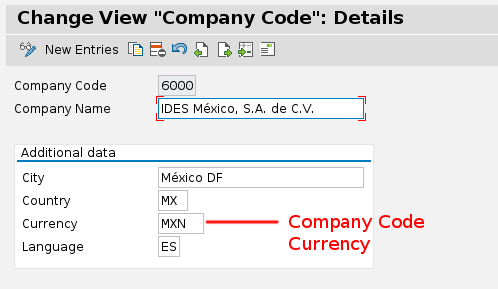SAP Finance: Mastering SAP FI currency types